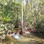 The best tour of Litchfield and crocodiles on the river - Who Will Enjoy This Tour Most?
