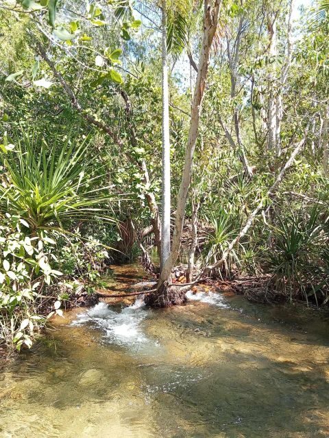 The best tour of Litchfield and crocodiles on the river - Who Will Enjoy This Tour Most?