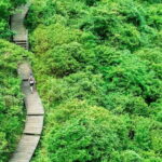 The Big Buddha & Lantau Island - Private Tour with Private Car - The Experience of a Private Tour