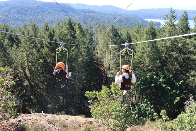 The Big Zip Experience - The Nature of the Tour