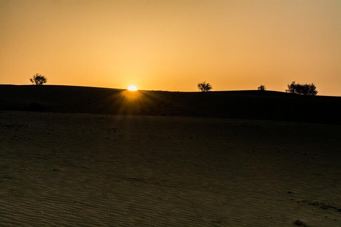 The Billion stars Experience in the Desert - What about the Next Morning?