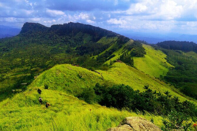 The birdwatchers quest through Hanthana Mountain Range  Kandy - What’s Included and What’s Not