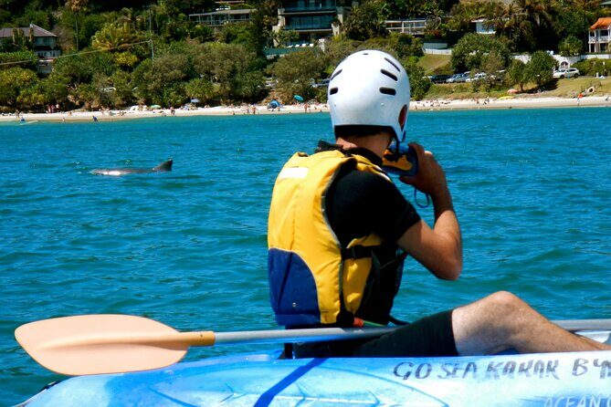 The Byron Bay Sea Kayak Tour - What to Expect: The Itinerary Breakdown