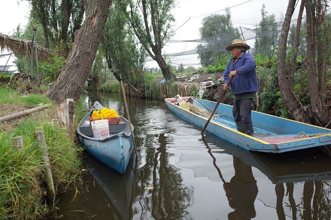 The City Green Exploring the Urban Eco Reserve of Xochimilco - Authenticity and Quality
