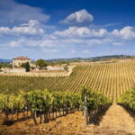 The Complete Wine Tour Brunello, Nobile, Chianti wine experience - Detailed Tour Breakdown