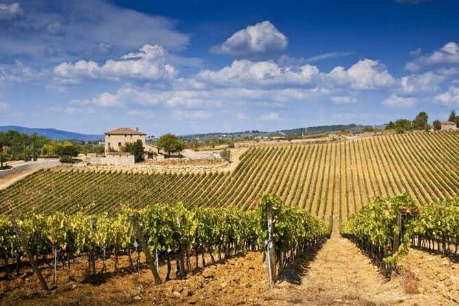 The Complete Wine Tour Brunello, Nobile, Chianti wine experience - Detailed Tour Breakdown
