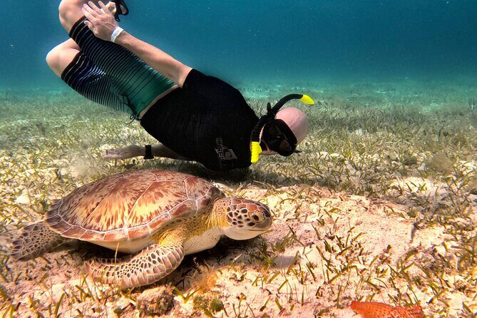 The Cozumel Turtle Sanctuary Snorkel Tour - What’s Included & What’s Not