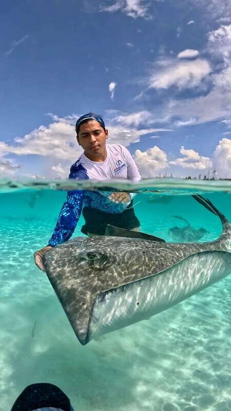 The Cozumel Turtle Sanctuary Snorkel Tour - Authentic Experiences and Highlights
