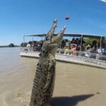 The Croc Bus to the Famous Jumping Crocodile Cruise - Practical Details and Traveler Tips