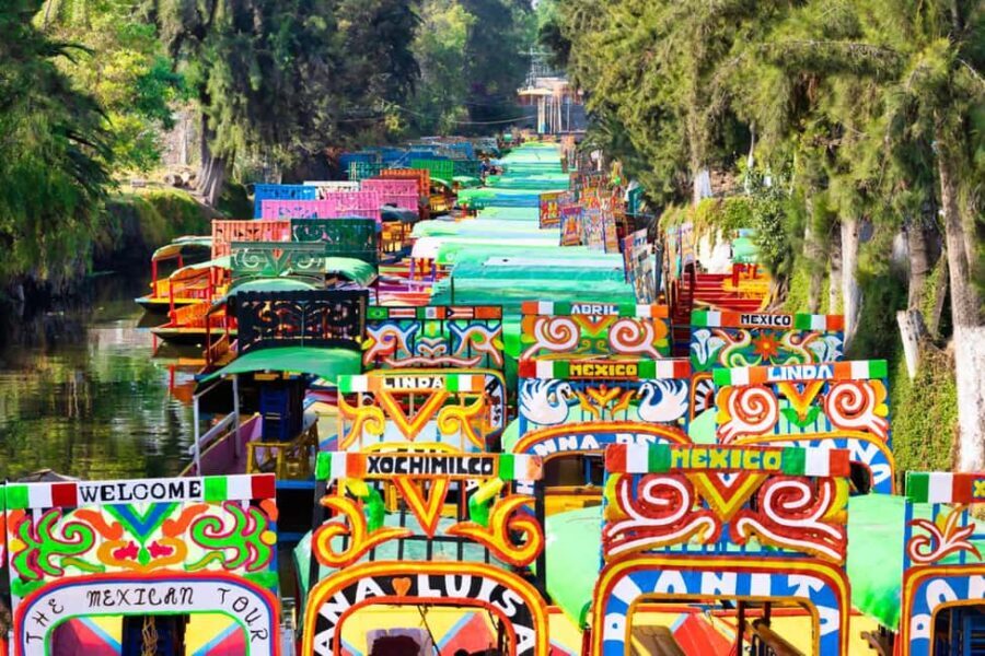The Day of the Dead Private Tour in Mexico City - What’s Included and the Cost
