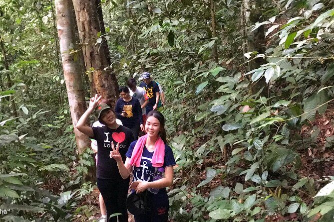 The Dusun : Jungle Trekking Adventure to Waterfall with Jungle Guide - A Deep Dive into the Itinerary