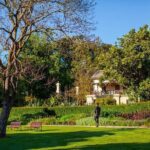 The Explorer - Melbourne Gardens - What the Reviews Say