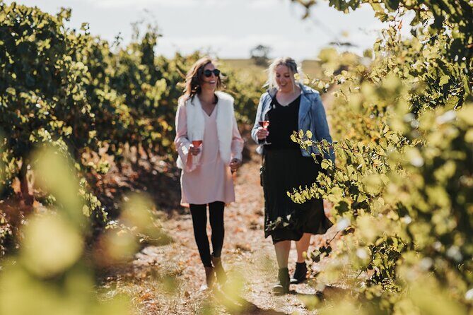 The Florita Wine Tasting Experience - In The Sum Up