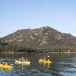 The Freycinet Paddle Kayak Tour - Why This Tour Is a Great Value