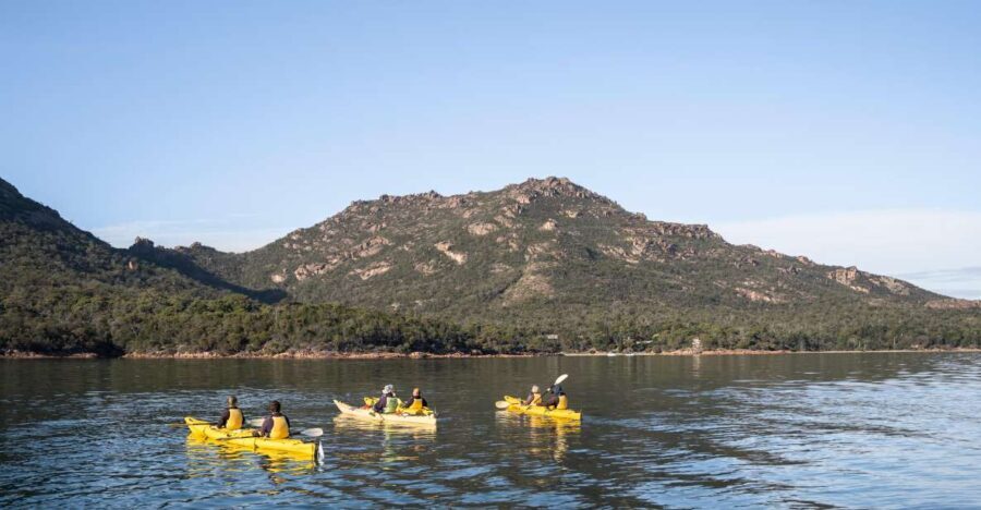 The Freycinet Paddle Kayak Tour - Why This Tour Is a Great Value