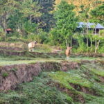 The Gili Mushroom Tour - What Travelers Can Expect