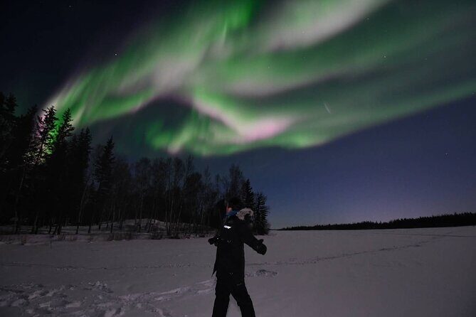 The Greatest Valuable Aurora Manor & Hunting Tour --Exclusive Tour Operator - Why This Tour Stands Out
