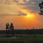 The jungle adventure - Key Points
