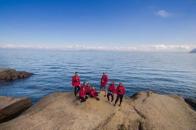 The Maori Carvings Half Day Kayak - Who Will Love This Tour?