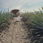 The Mezcal Journey - The Scenic Drive to Santiago Matatlán