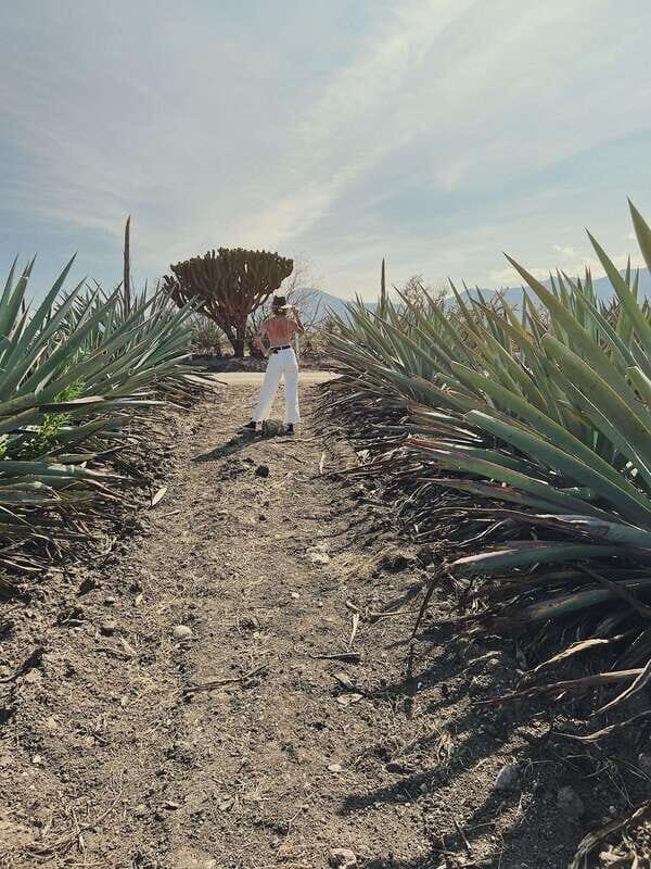 The Mezcal Journey - The Scenic Drive to Santiago Matatlán