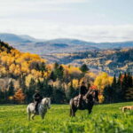 The Montagnarde: Guided horseback ride on mountain trails. - What reviewers are saying
