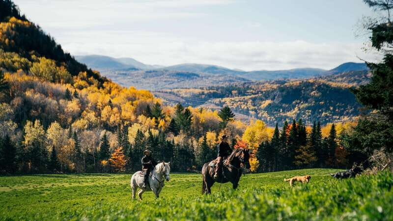 The Montagnarde: Guided horseback ride on mountain trails. - What reviewers are saying