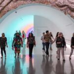 The Museum of Fine Arts, Houston Entry Ticket - Final Thoughts: Who Will Love This Museum?