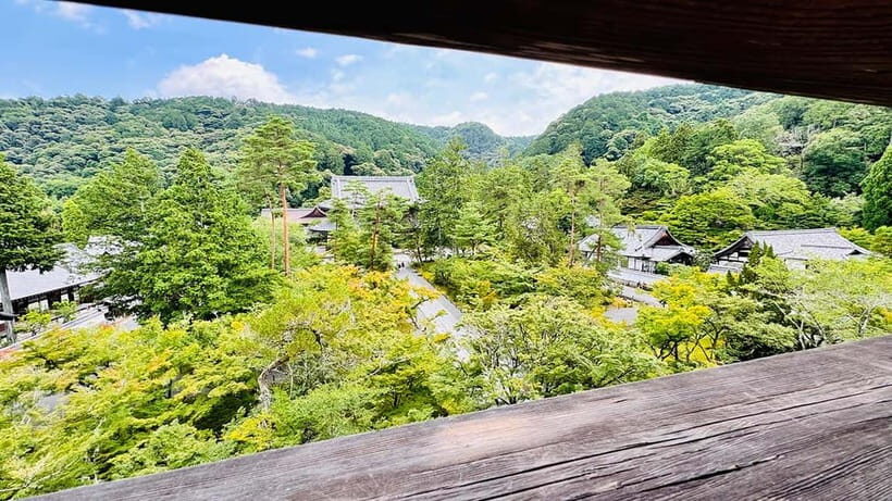 The Must-Do Kyoto Walk: Secret Zen, Scenic Wonders & Temples - The Experience: Logistics and Practicalities