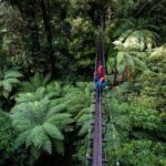 The Original Canopy Zipline Experience Private Tour From Auckland - Why This Tour Offers Good Value