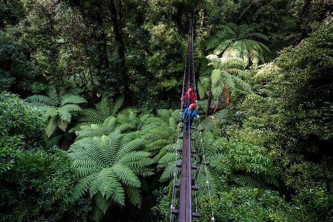 The Original Canopy Zipline Experience Private Tour From Auckland - Why This Tour Offers Good Value