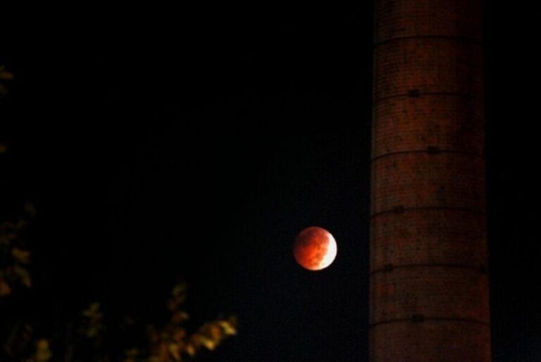 The Original Raleigh Ghost Walk - The Experience: What Youll Love