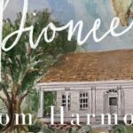 The Palmetto Pioneers: A Self-Guided Monticello Walking Tour - Practical Tips for Your Self-Guided Journey