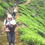 The Pekoe Trail, Stage 12, Trekking Fm Udaweriya To Haputale - Embarking on the Trek: What to Expect