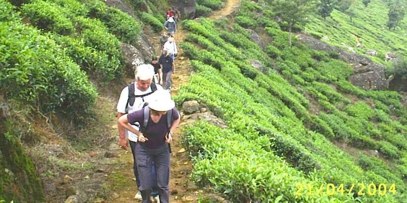 The Pekoe Trail, Stage 12, Trekking Fm Udaweriya To Haputale - Embarking on the Trek: What to Expect