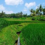 The Russian Bathhouse (banja) - The Setting & Atmosphere