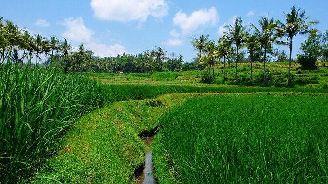 The Russian Bathhouse (banja) - The Setting & Atmosphere