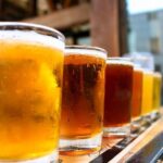 The Sip of Montreal Brew Tour - The Bottom Line: Is It Worth It?