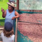 The Solomon Chocolate trail - Analyzing the Tour Value