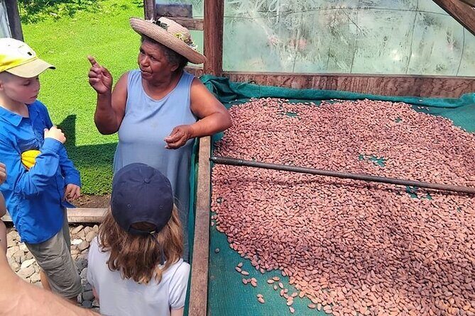 The Solomon Chocolate trail - Analyzing the Tour Value