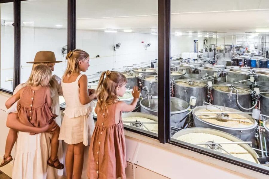 The Sunshine Coast: The Ginger Factory Tour & Tasting - What Do Visitors Say? Authentic Insights