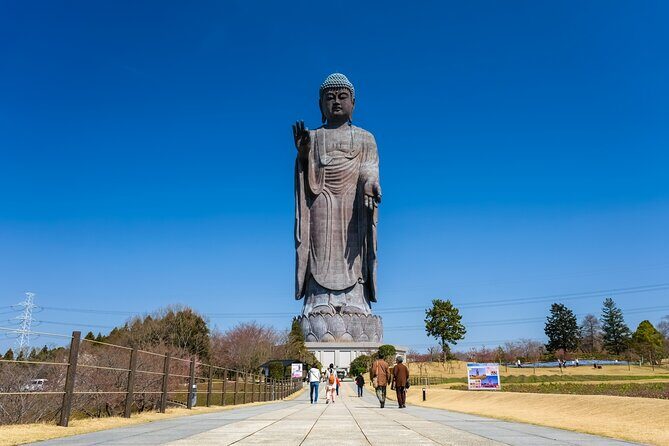 The Tallest Great Buddha Spot Walking Tour - A Walk Around with an English-Speaking Guide