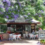 The Tastes of Tamborine Mountain - Analyzing the Value and Experience