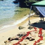 The Top Ten Hidden Harbour Beaches Tour with Jen - An In-Depth Look at the Tour Experience