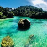 The Two Gods - Guided Kayak & Unguided Walk - New Zealand - The Real Value: Price, Duration, and Experience
