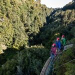 The Ultimate Canopy Zipline Experience Private Tour From Auckland - Who Will Love This Tour?