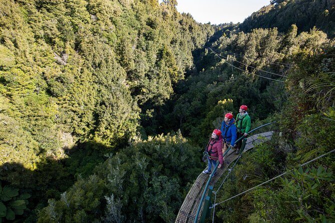 The Ultimate Canopy Zipline Experience Private Tour From Auckland - Who Will Love This Tour?