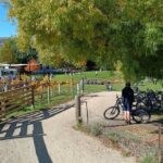 The Ultimate Lake Dunstan Bike Hire And Boat Experience - Who Will Love This Experience?