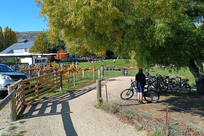 The Ultimate Lake Dunstan Bike Hire And Boat Experience - Who Will Love This Experience?