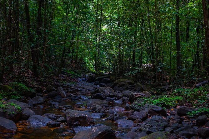 The village crossing and forest hike to old waterfalls  Makandawa Rainforest - Authentic Nature and Community Engagement